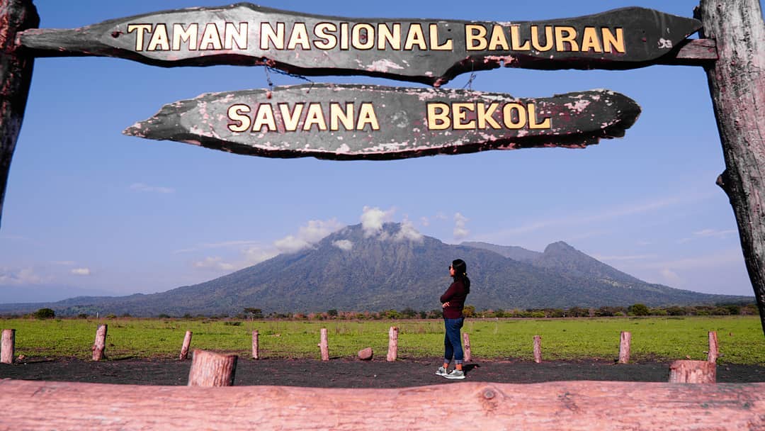 Pantai Merak di Baluran Dikembangkan Jadi Lokasi Wisata Alam ...