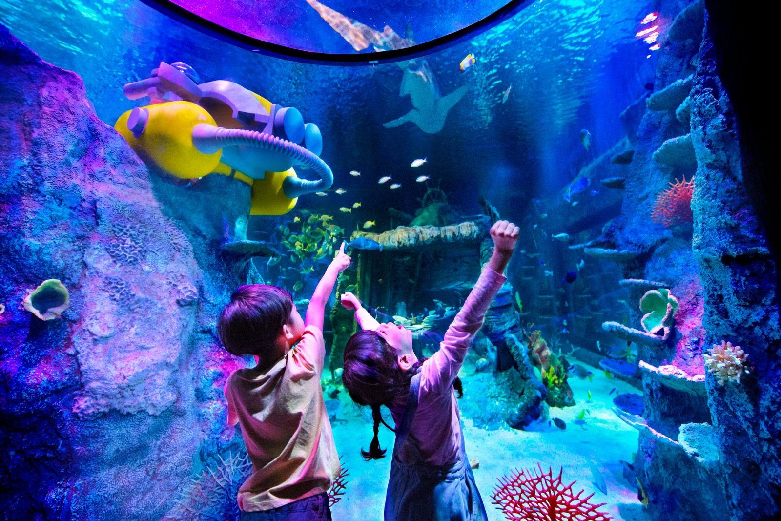 LEGOLAND Malaysia Resort Hadirkan Atraksi Baru, Bidik Wisatawan Asia ...