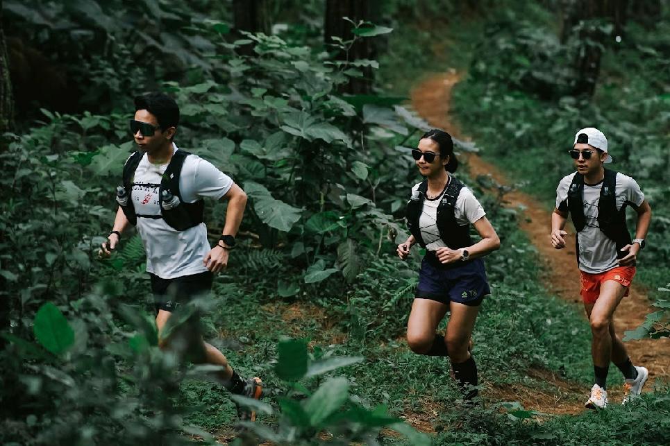 BIOSFERUN Promosikan Cagar Biosfer di Kawasan Borobudur - sinarharapan.net