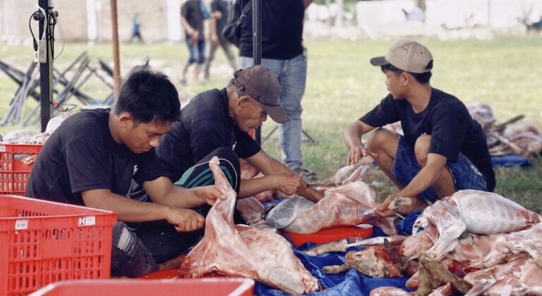 Melalui Asia Mega Qurban 2026, Aliyah Rizq Raih Pengakuan Asean dan ...